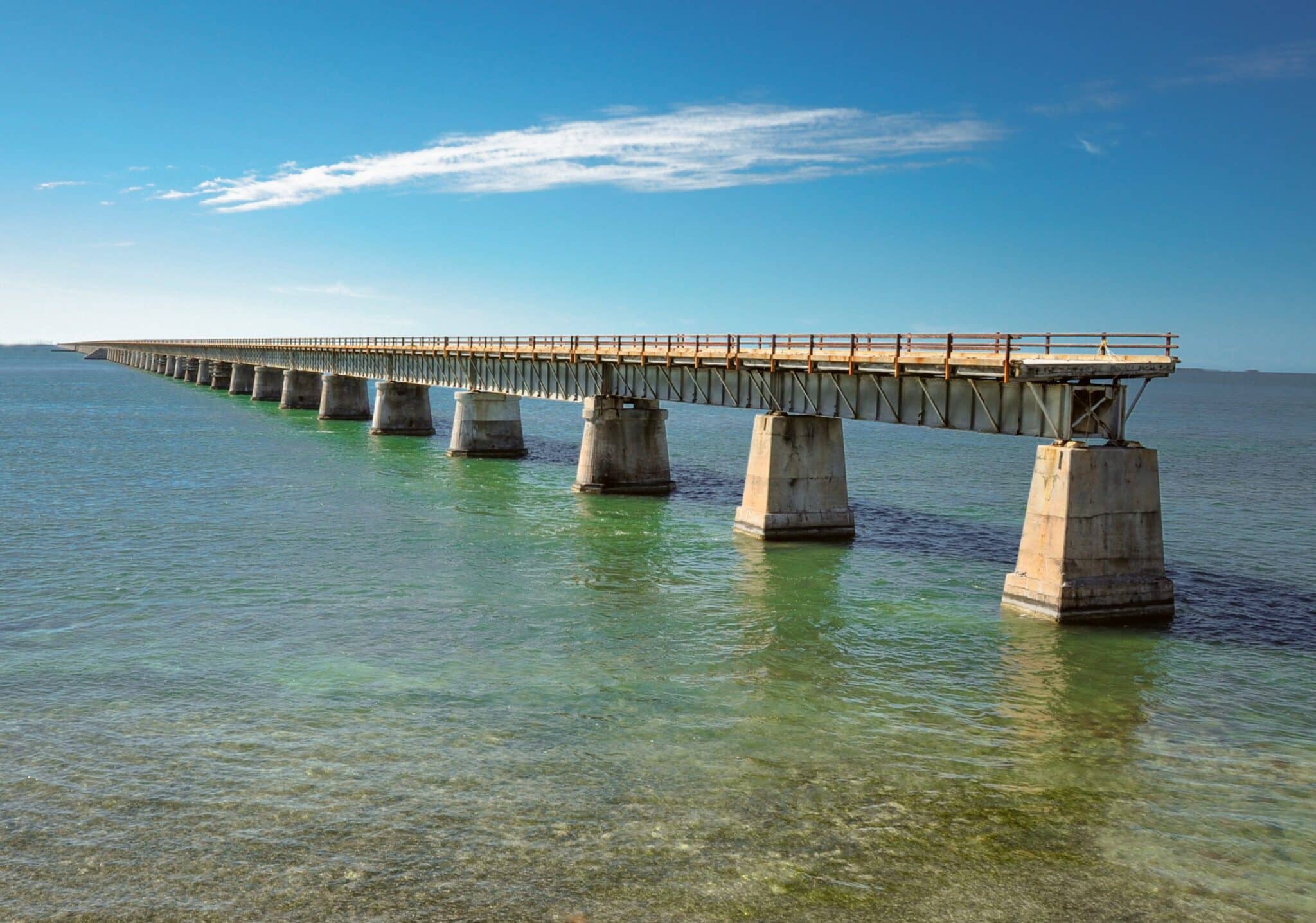 Half a Bridge—and Finding Love