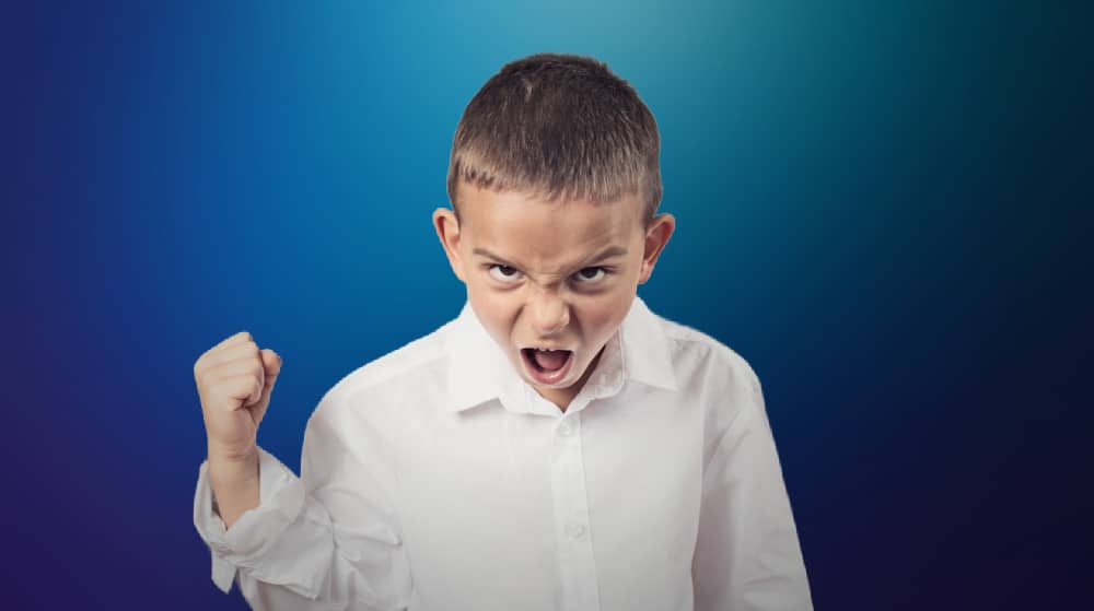 A How-To Guide for Parents of a Highly Defiant Child